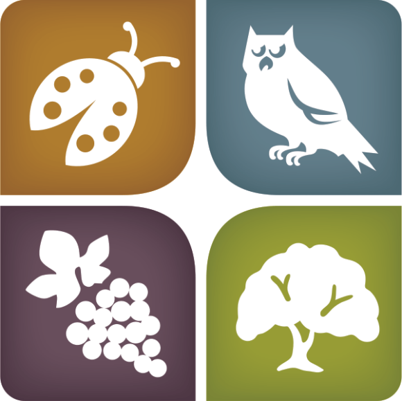 US-About WiseConn – wiseconn.com