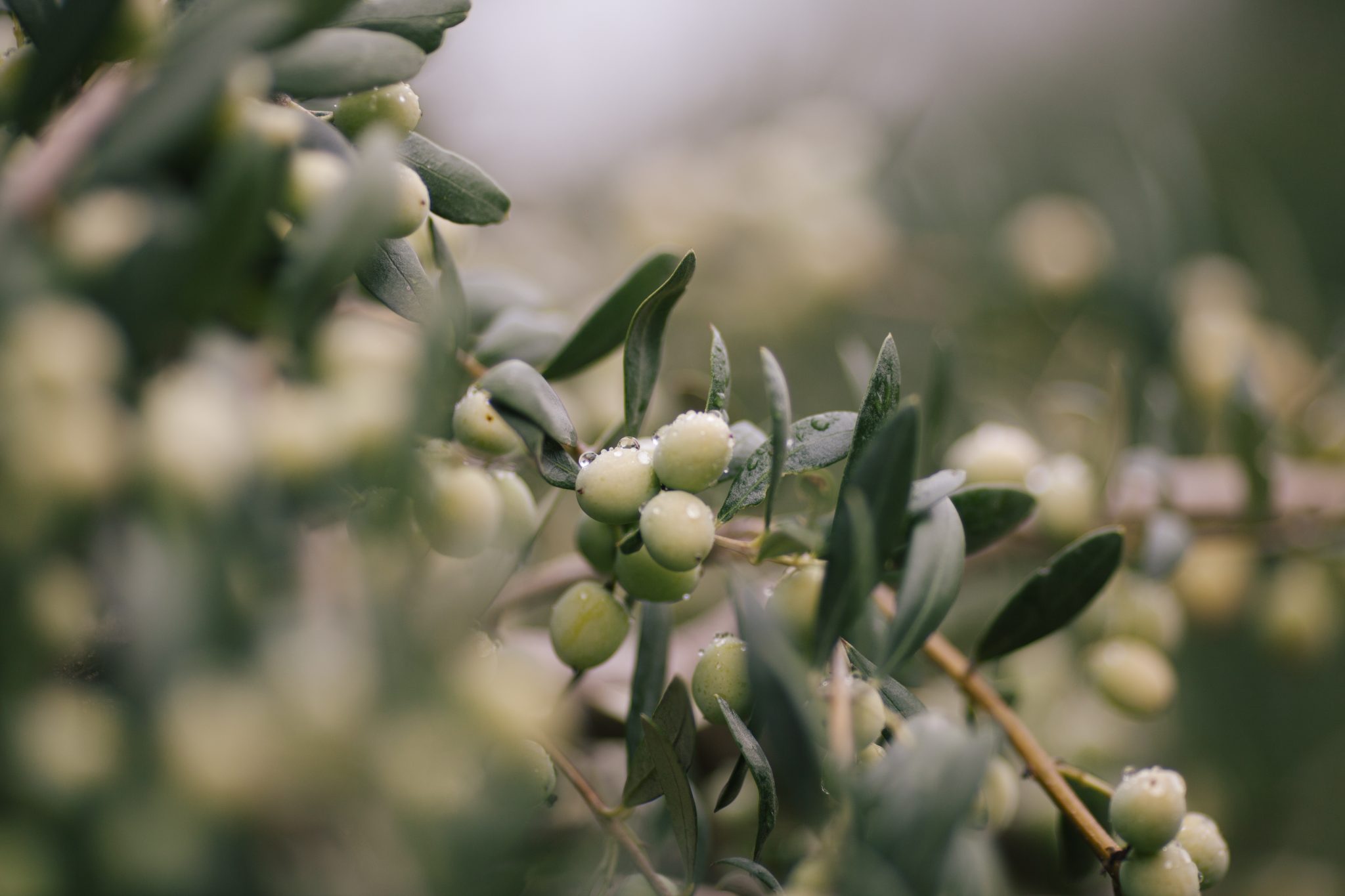 Irrigation Valve Control Systems for Micro and Pivot Irrigation