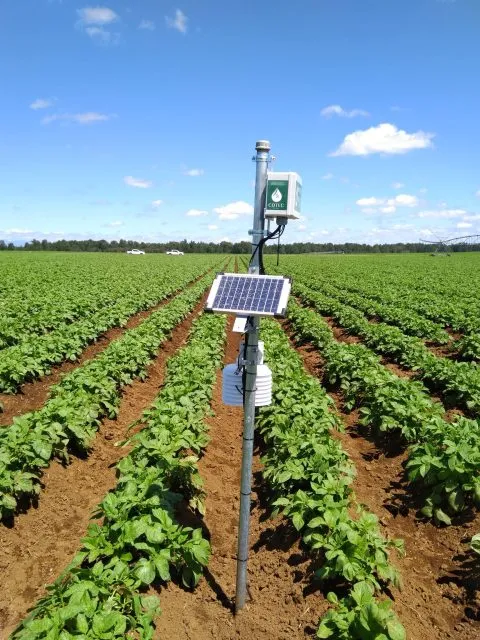 How to automate farm irrigation | Efficiency | WiseConn